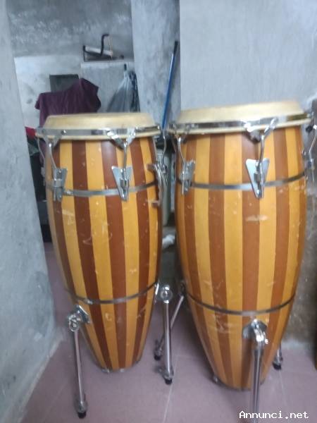 CONGAS | Annunci Matera
